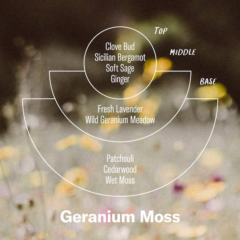 Geranium Moss– Alchemy Reed Diffuser – Sunday's Company