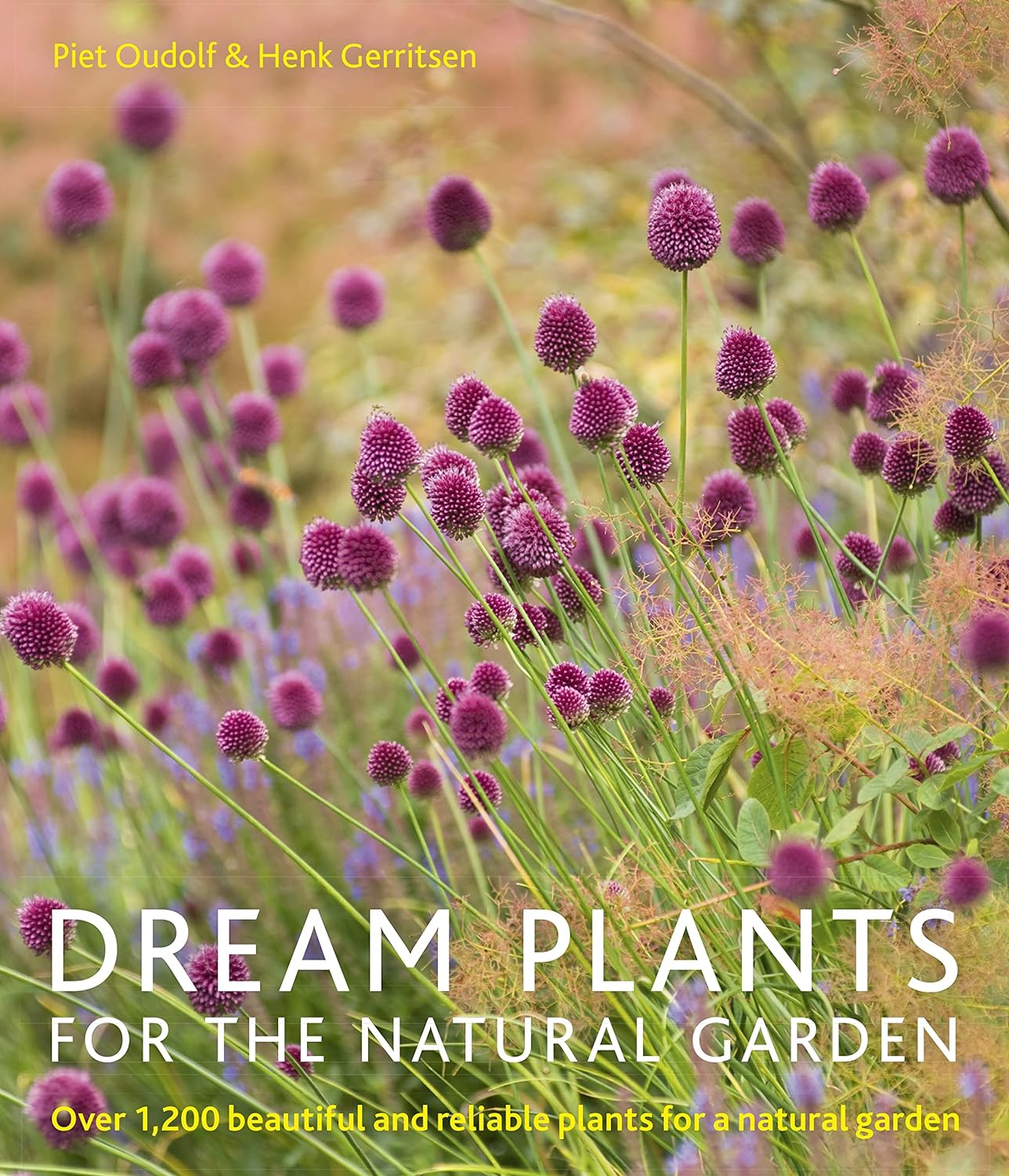 Dream Plants for The Natural Garden – Sunday's Company